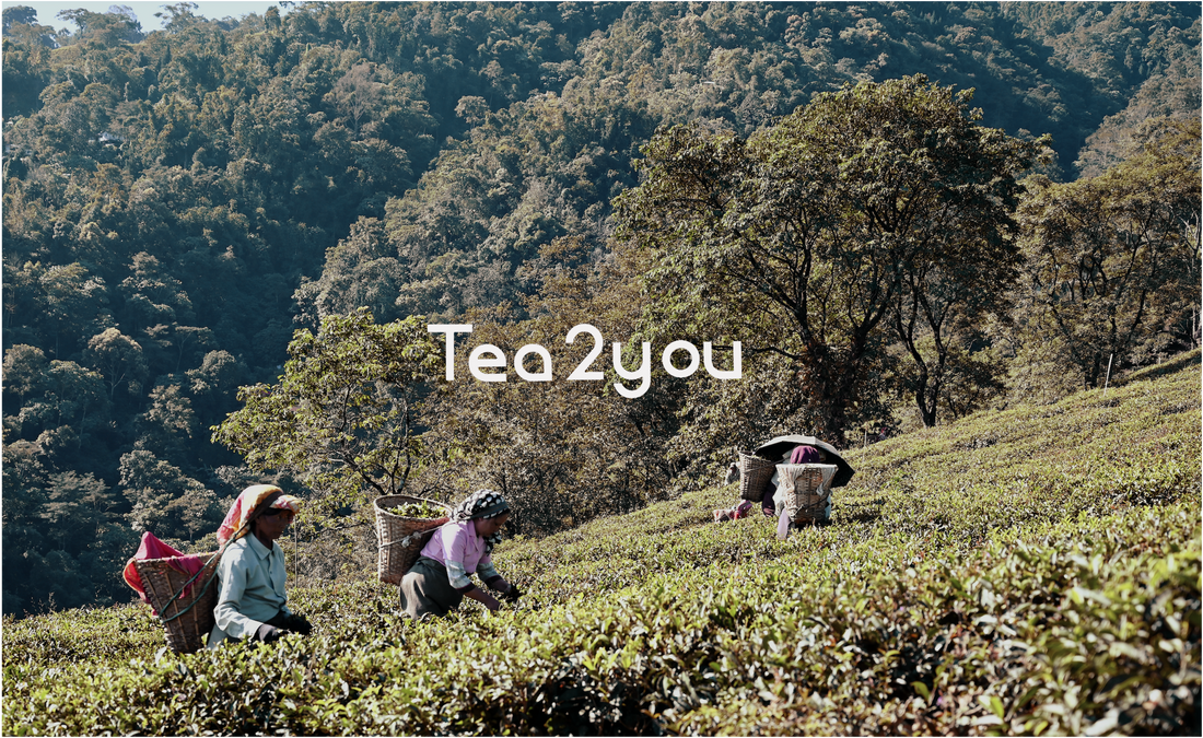 TEA2YOU | Every tea hand picked so you sip the best – Tea2You