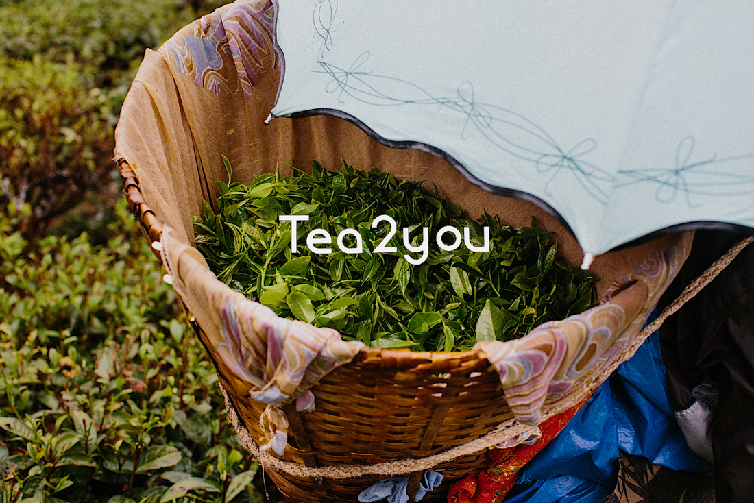 TEA2YOU | Every tea hand picked so you sip the best – Tea2You